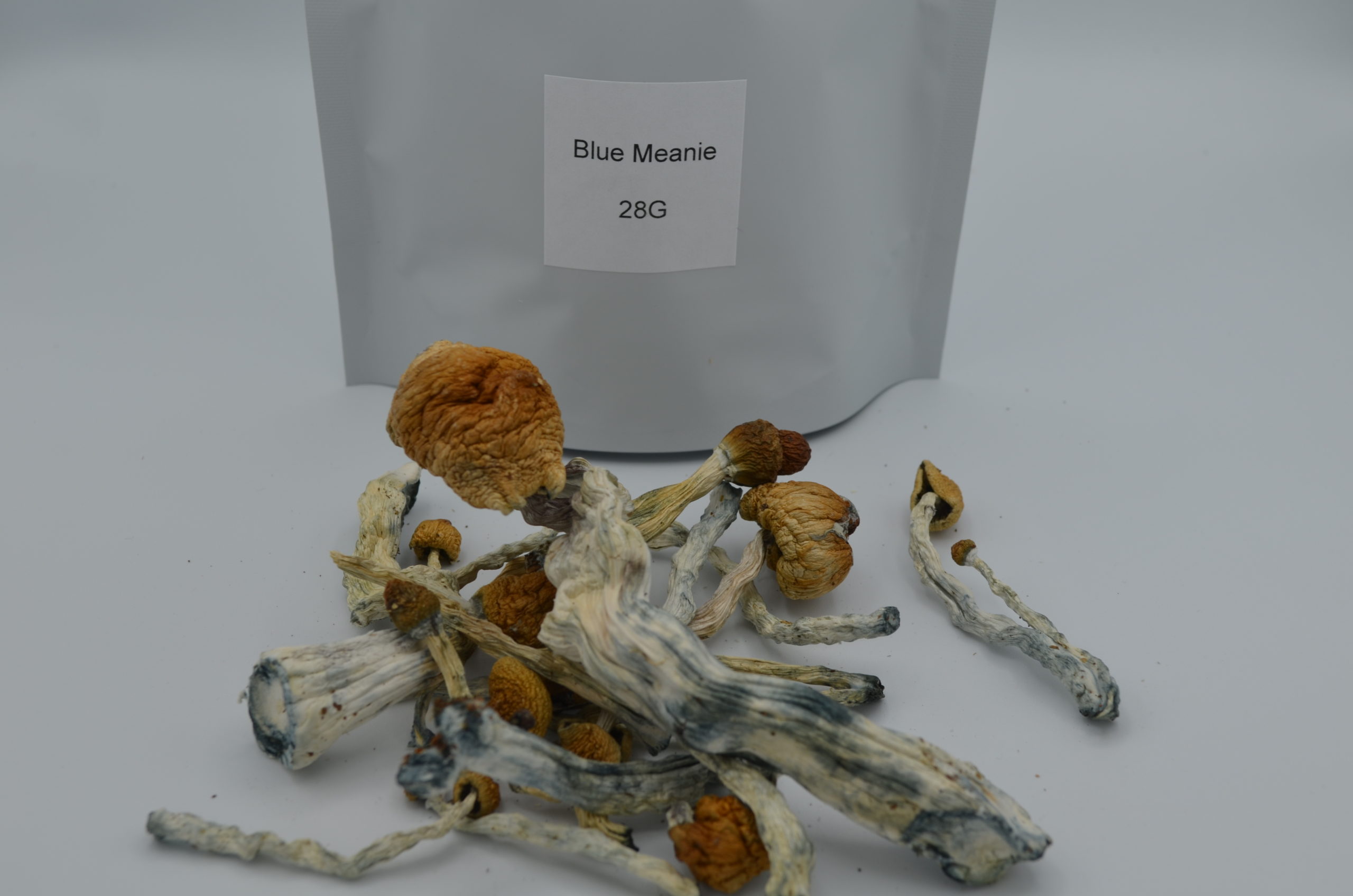 Psilocybin Mushrooms – Blue Meanie 28g – THC HERBALIST